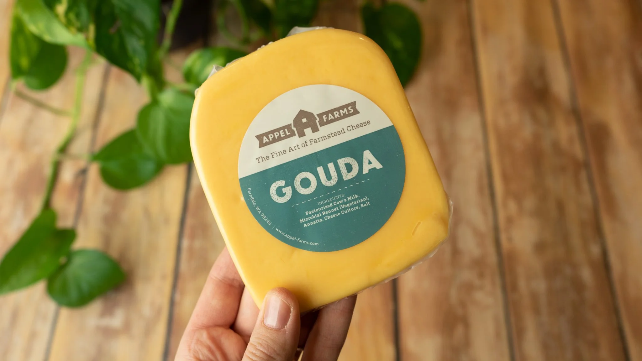 Local Cheese In Washington