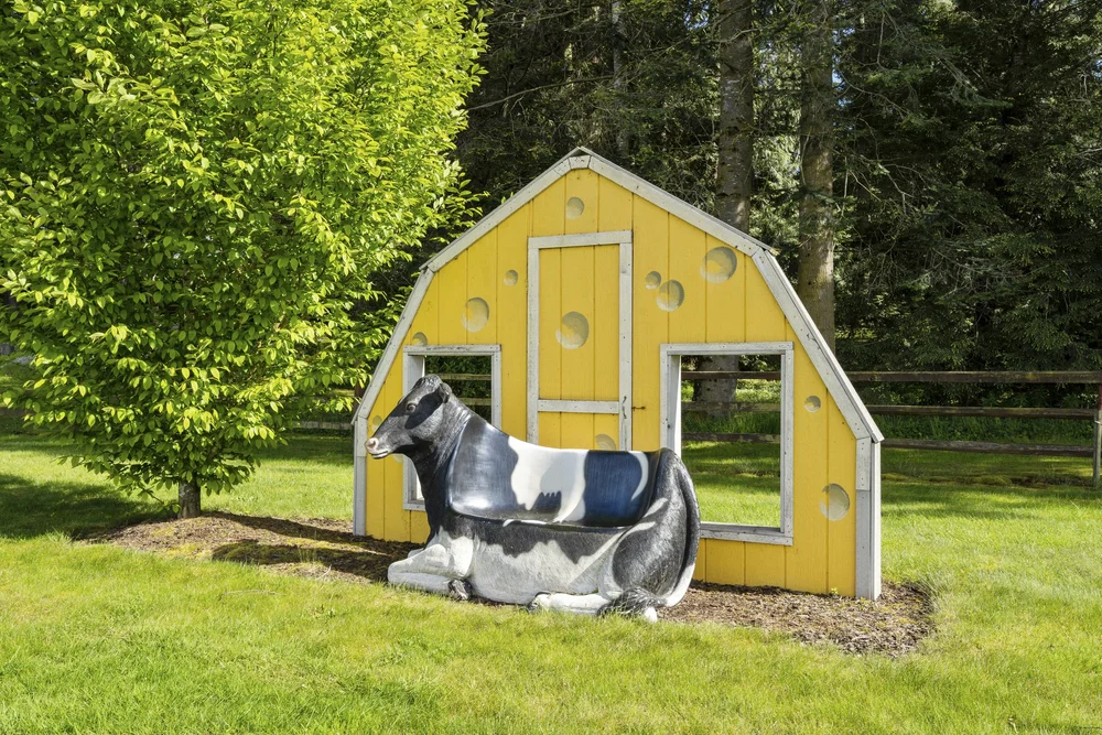 Local Cheese In Washington