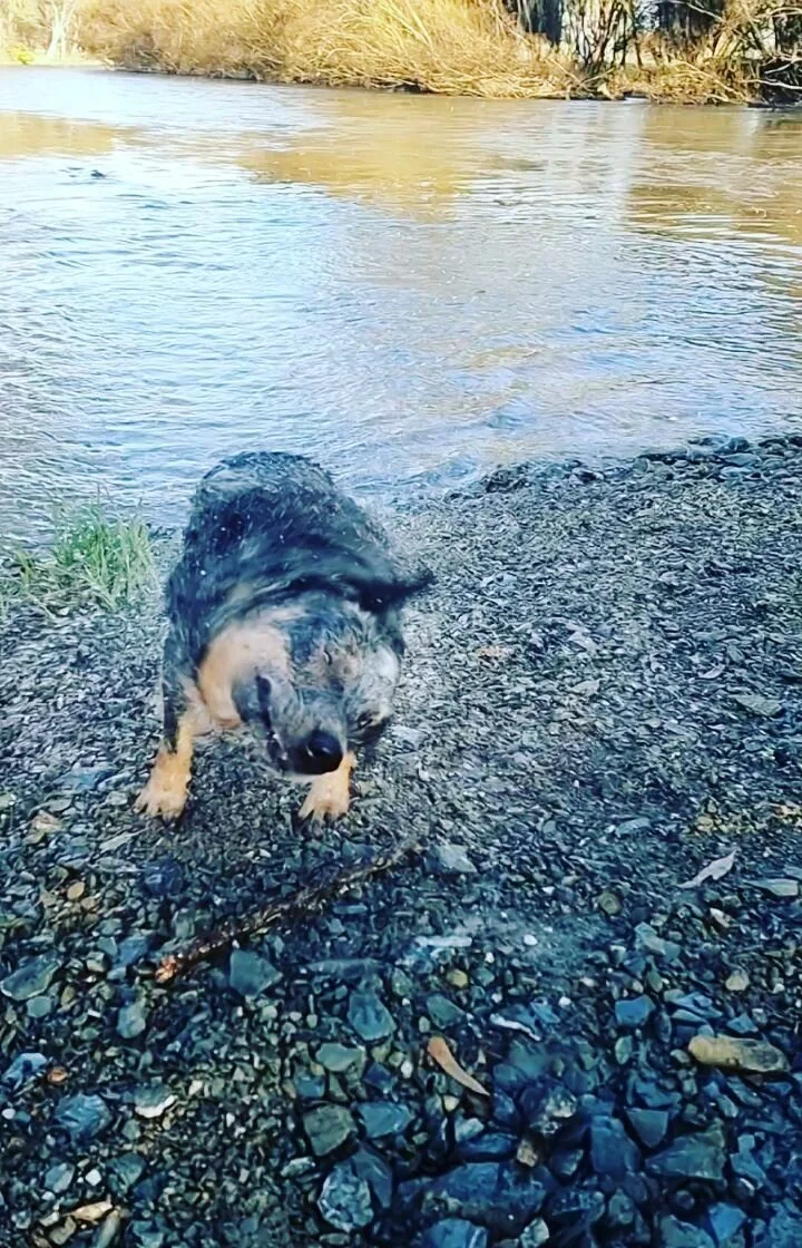 Kate Howarth Digital