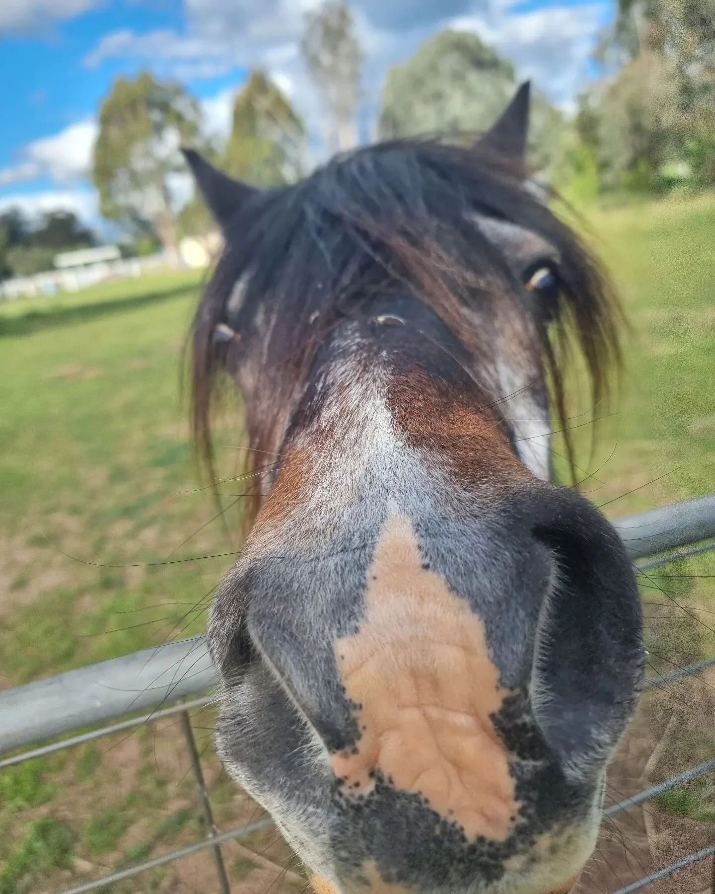 Kate Howarth Digital