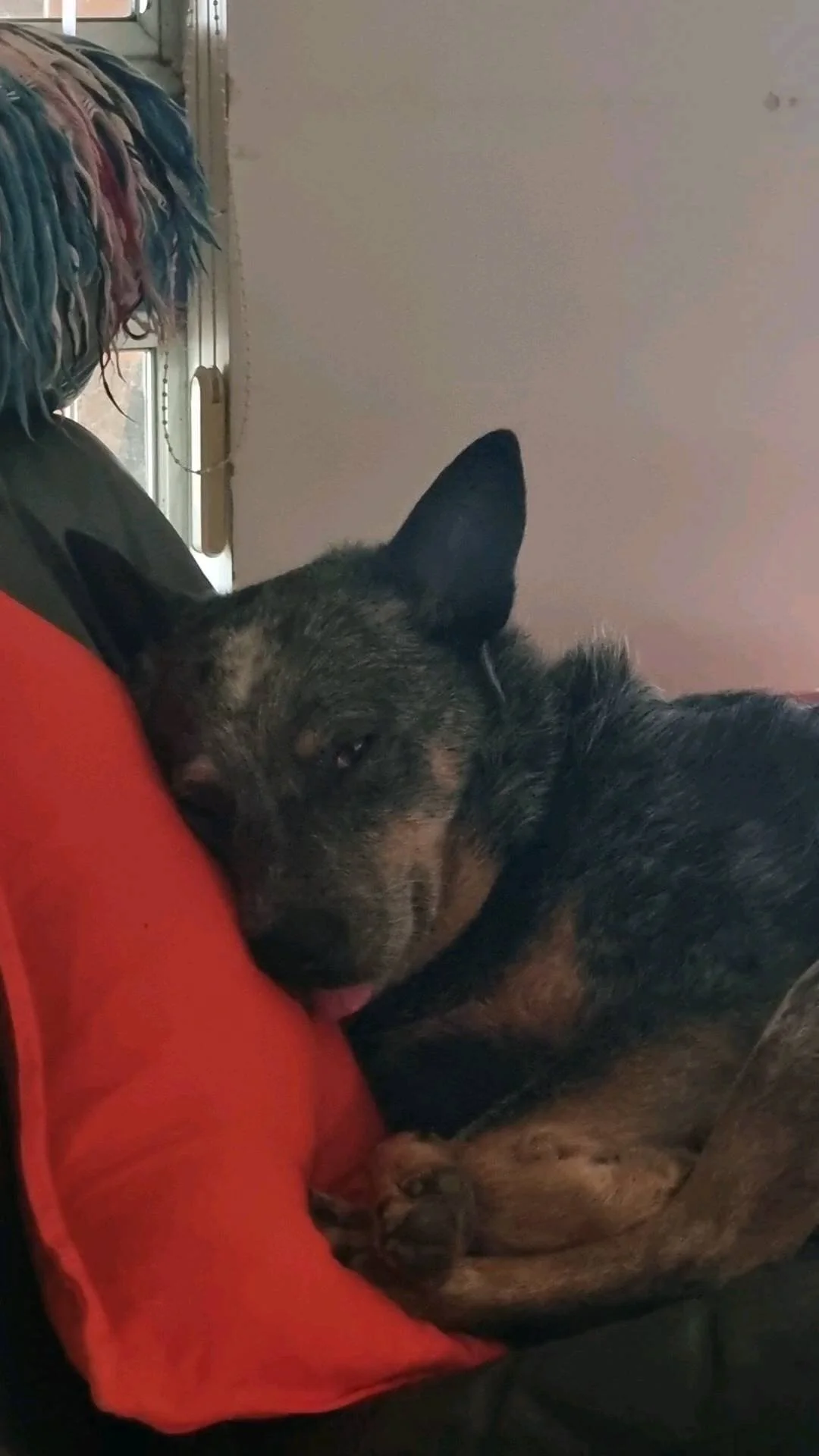 Kate Howarth Digital