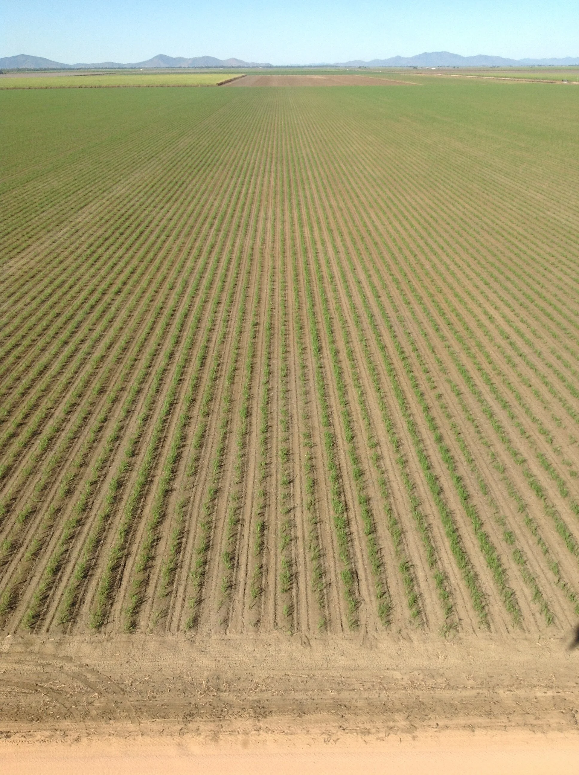 Contact — Rocks Farming Company