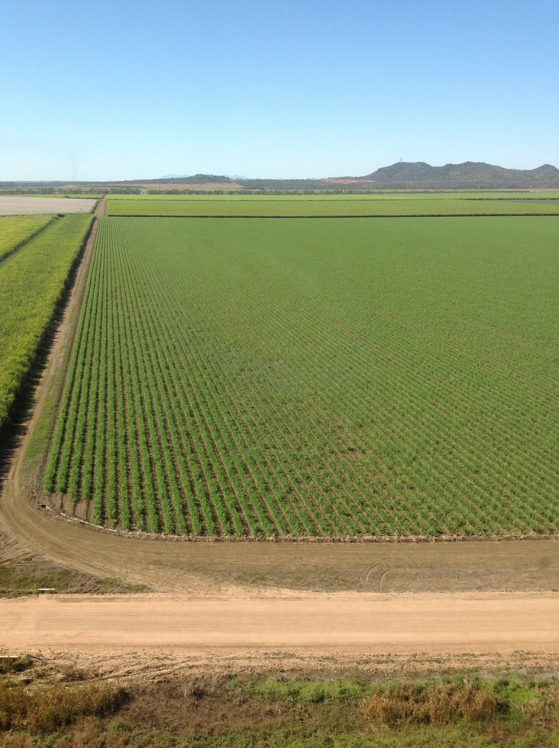 Jobs — Rocks Farming Company