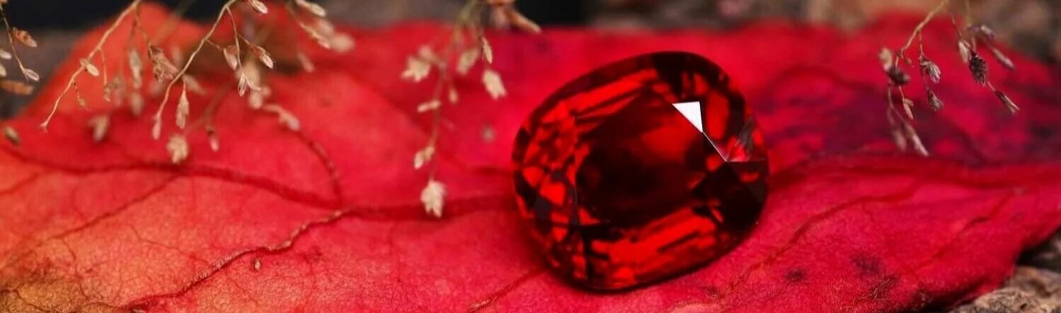 January Birthstones | Garnet, Onyx, Jasper + more — birthstone.guide