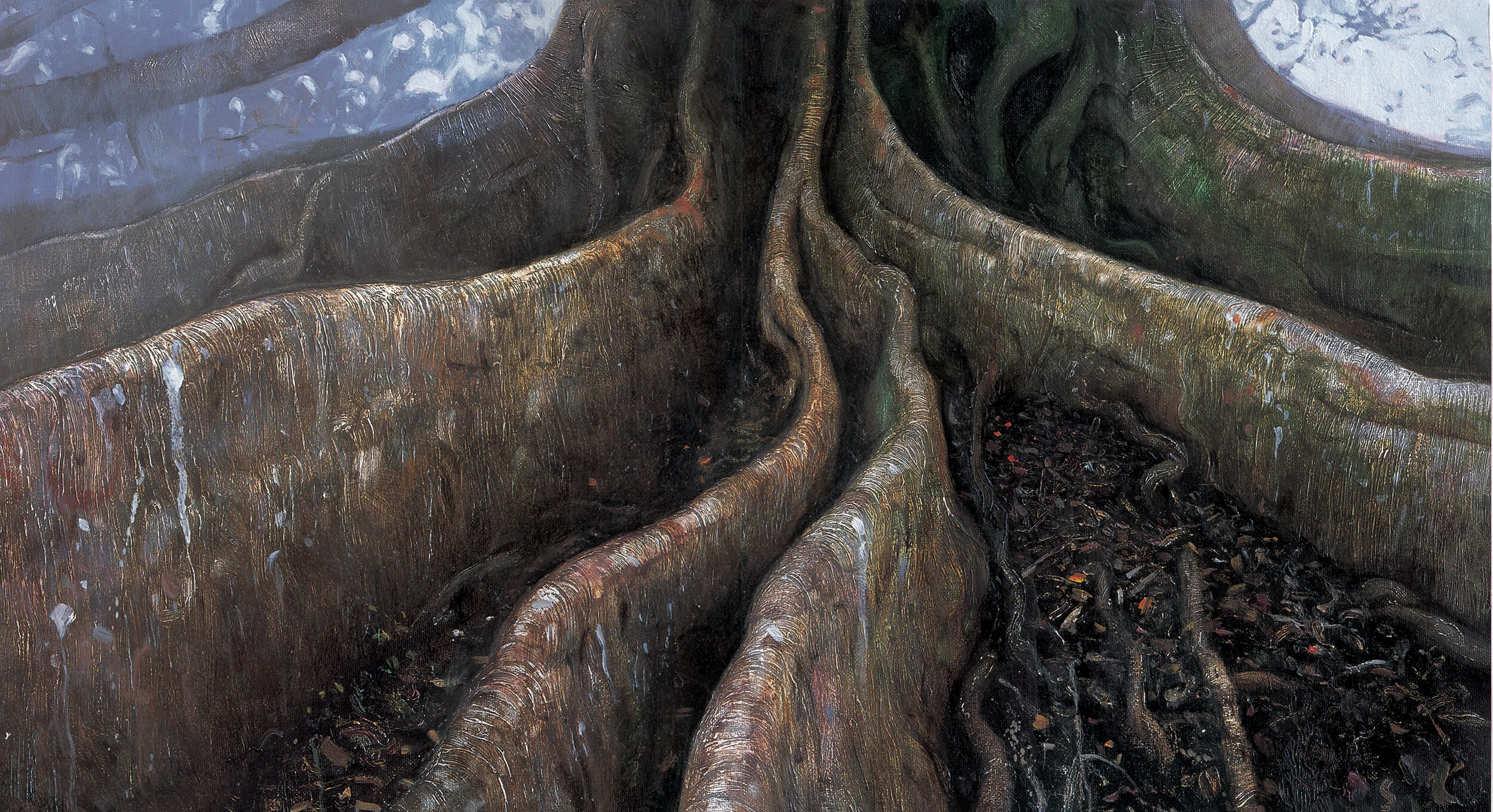 Memorial book — shaun tan