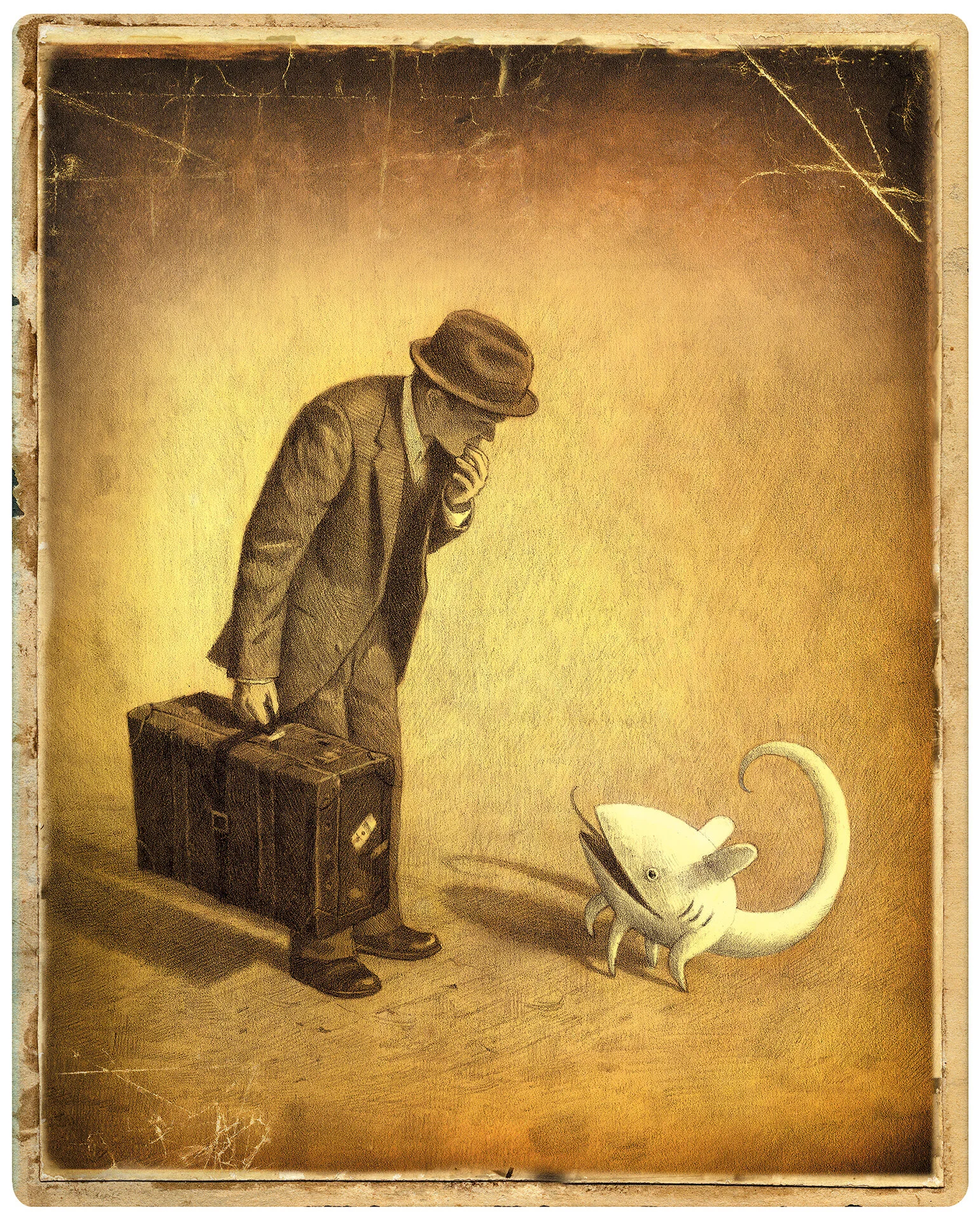 shaun tan