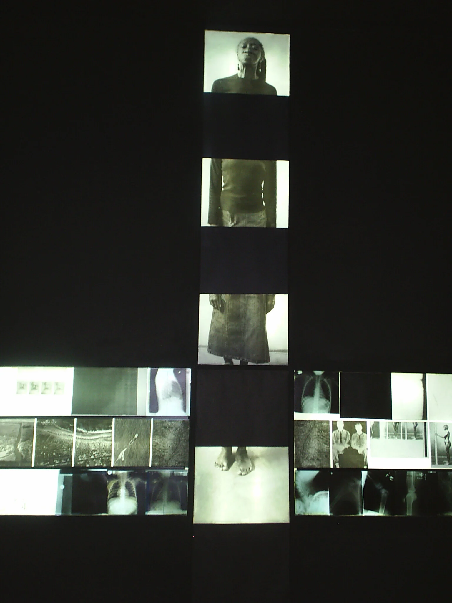 Reality/Representation — PETRONA MORRISON