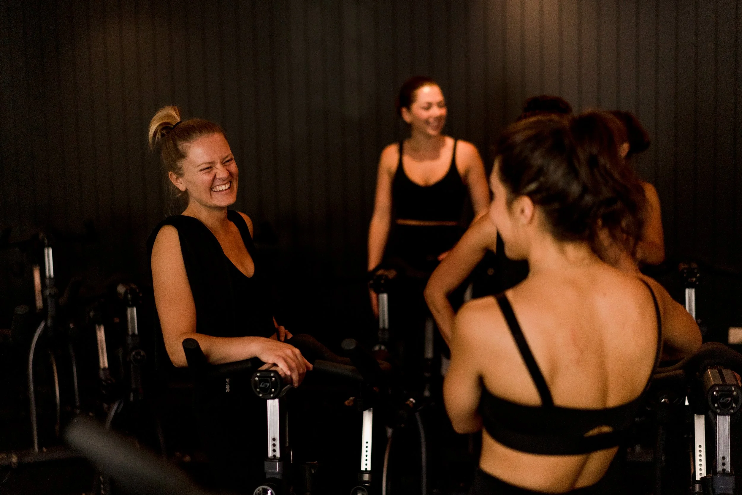 New to Happi — Happi Studios