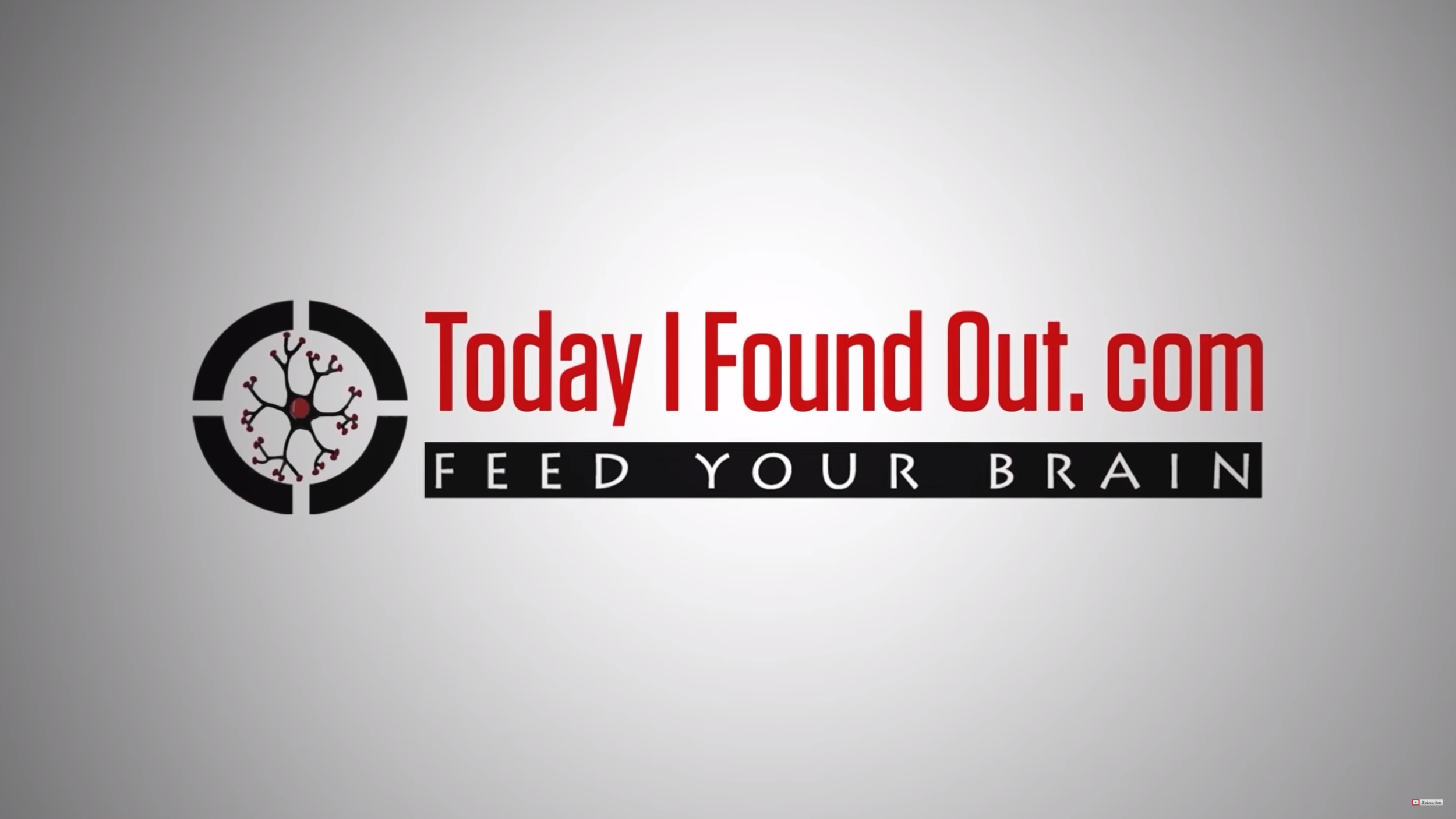 About — SIMON WHISTLER