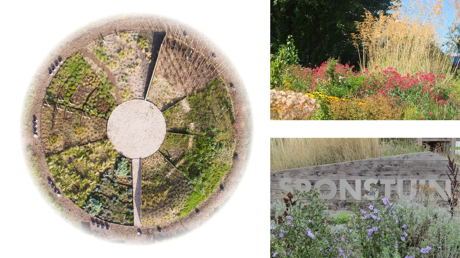Sponge Garden, Rotterdam — DE URBANISTEN
