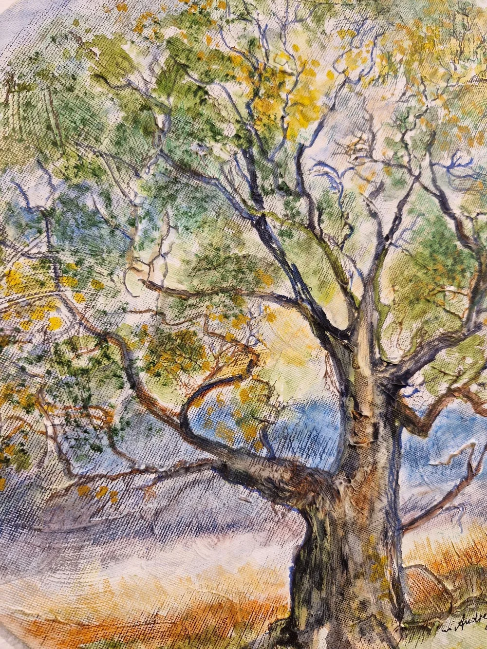 Gallery — Wyeside