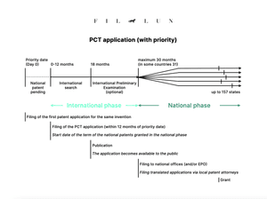 International patent application (PCT) explanation, timeline and steps ...