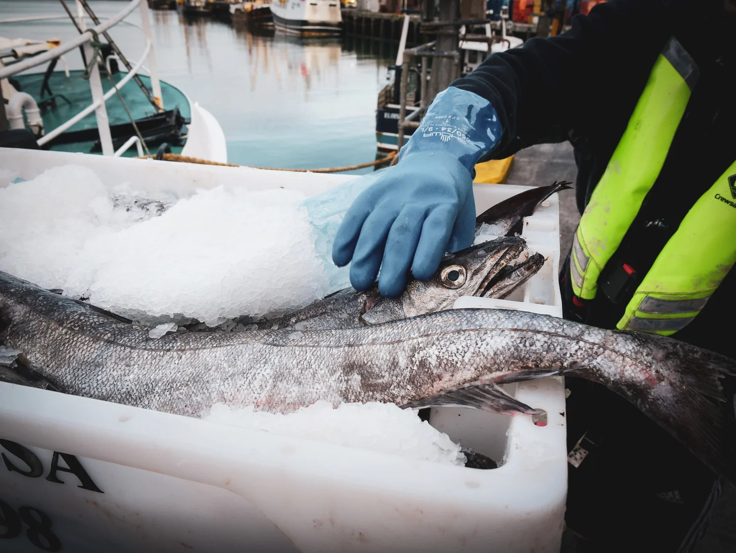 Cornwall Fish Direct