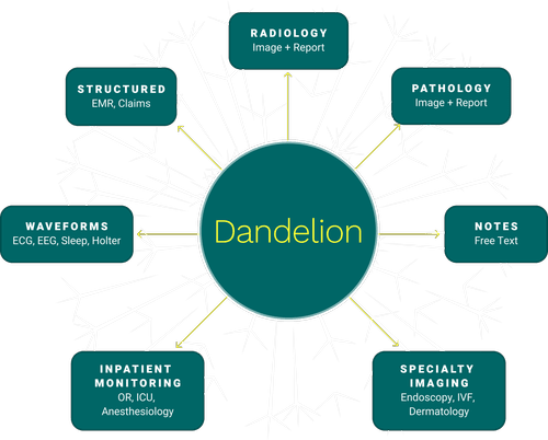 Access data to build clinical AI — Dandelion Health