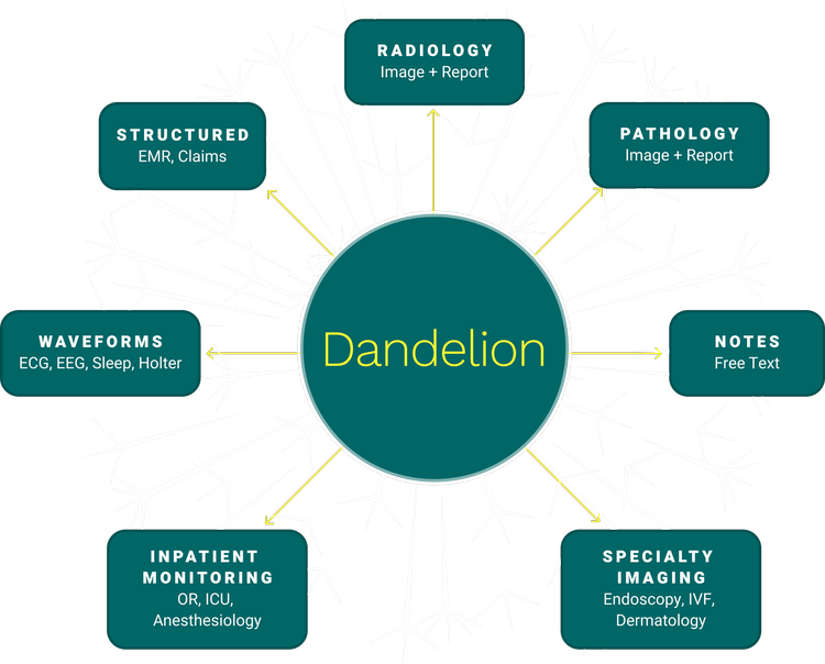 Access data to build clinical AI — Dandelion Health