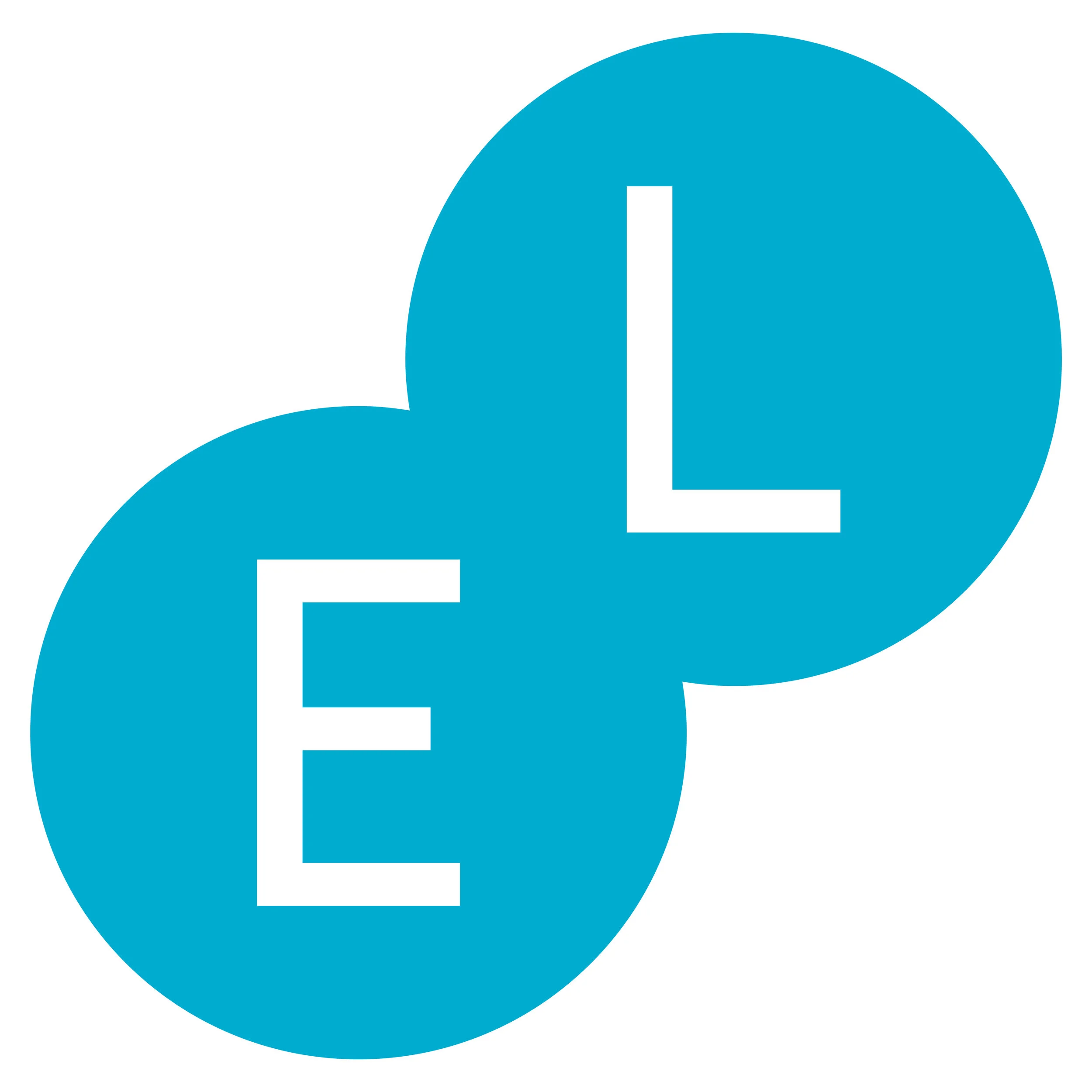 About — Evolving Leadership