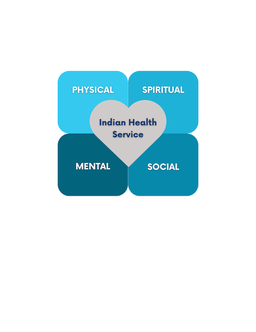 Inadequate Healthcare for American Indians in the United States ...