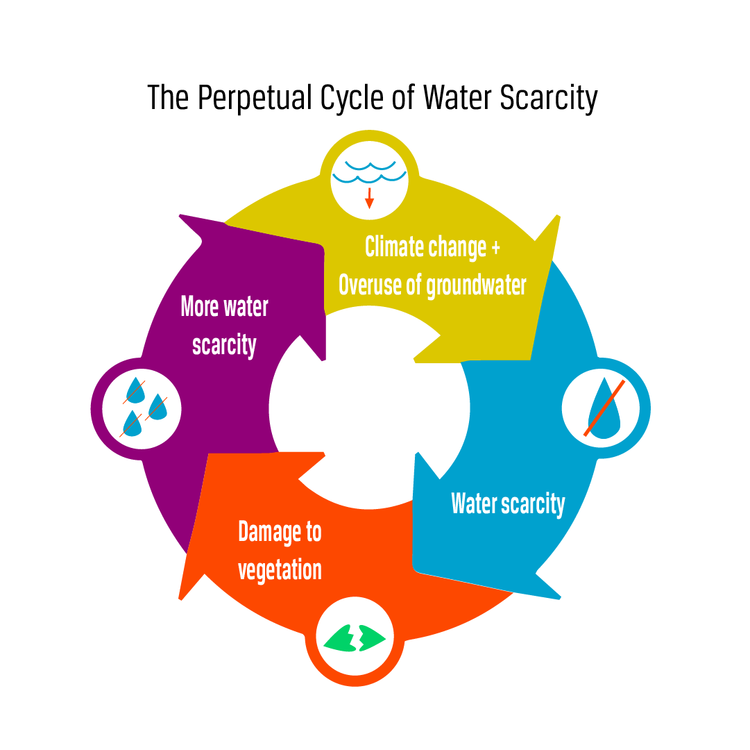 Water Scarcity in the Jordan River Valley - Ballard Brief