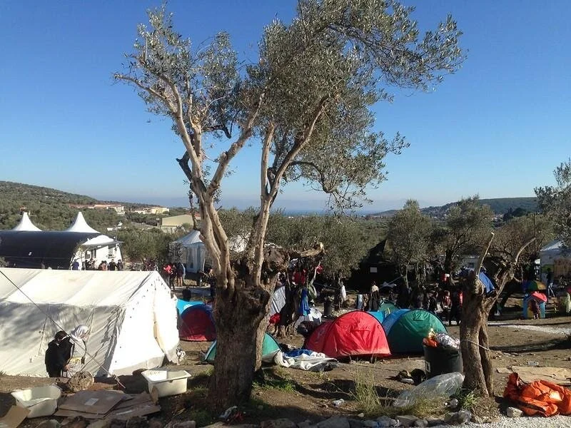 Migrant Smuggling Across the Mediterranean Sea - Ballard Brief