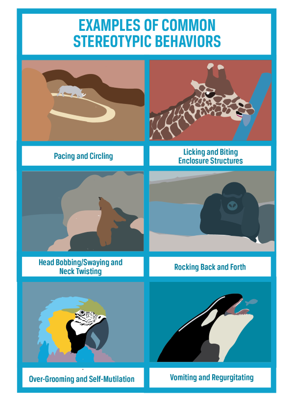 Mistreatment of Wild Animals in Captivity - Ballard Brief