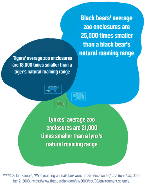Mistreatment of Wild Animals in Captivity - Ballard Brief