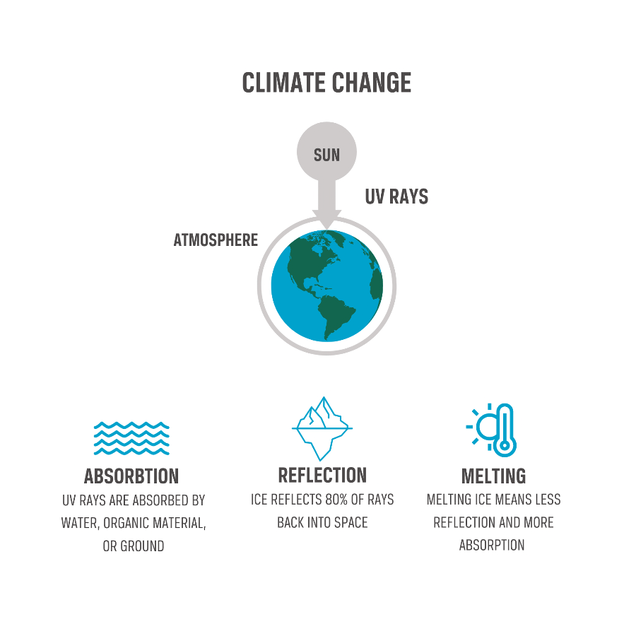 Ecological Disruption in the Arctic National Wildlife Refuge - Ballard ...