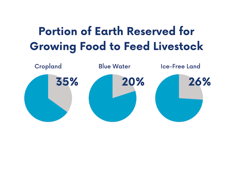 The Overconsumption of Ultra-Processed Foods in the United States ...