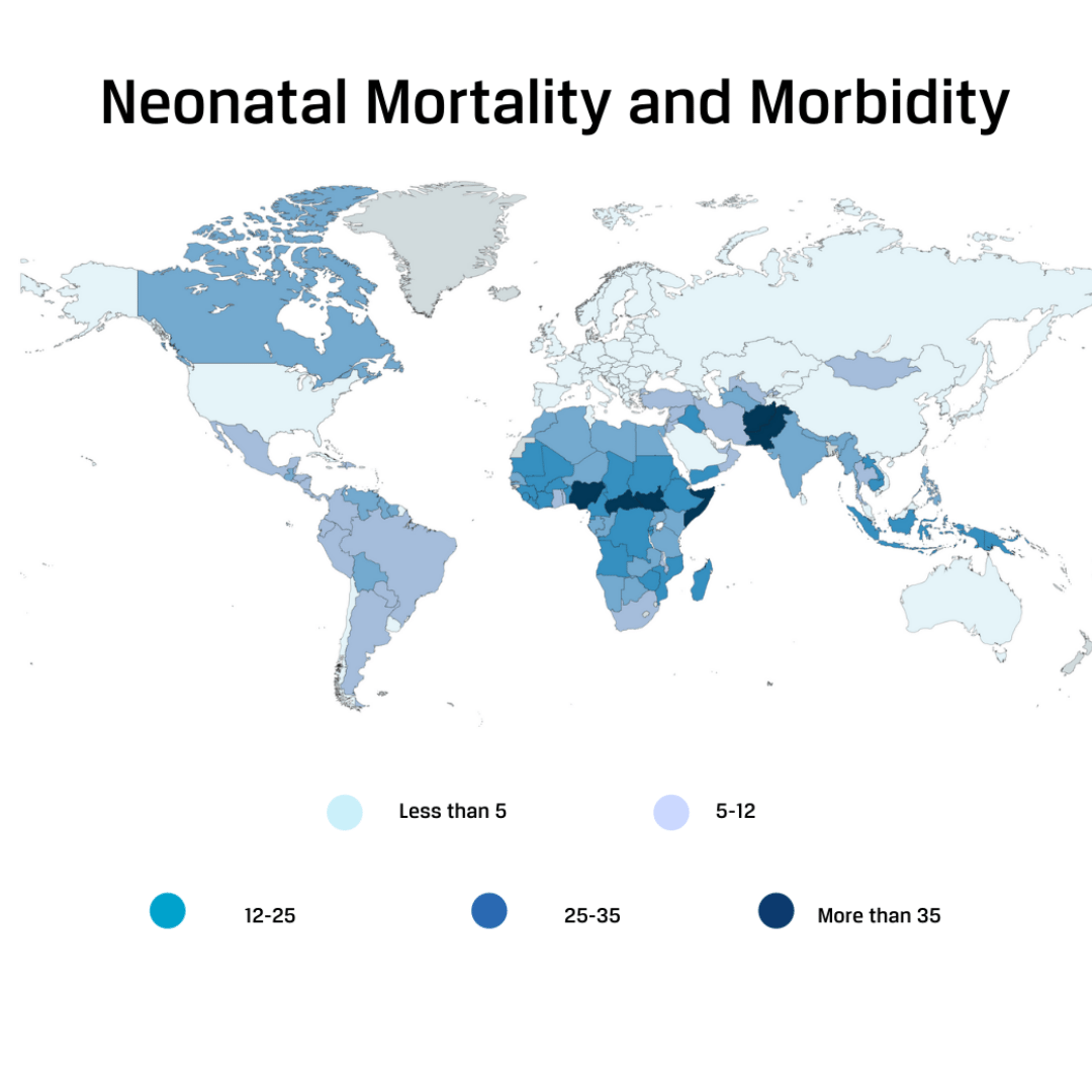 Lack of Access to Maternal Healthcare in Sub-Saharan Africa - Ballard Brief