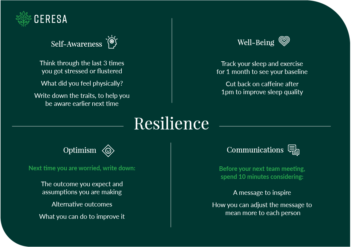 How to Build Resilience: 4 Traits Every Leader Should Practice — Ceresa