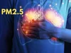 What is PM2.5 and How Does it Affect Health?