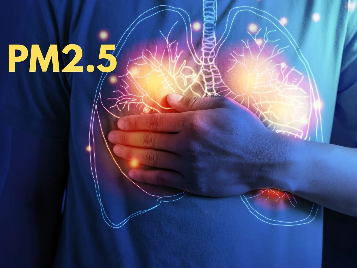 What is PM2.5 and How Does it Affect Health?