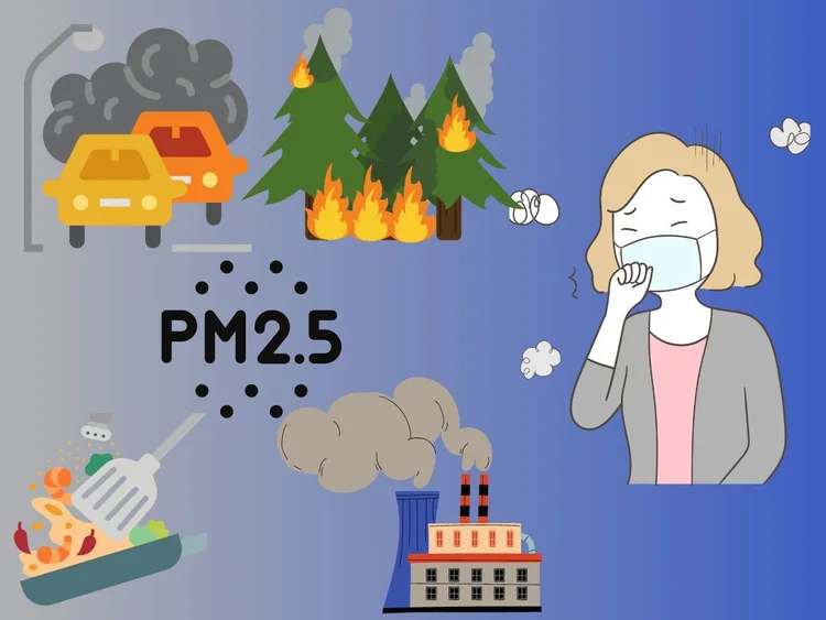 What is PM2.5 and How Does it Affect Health?