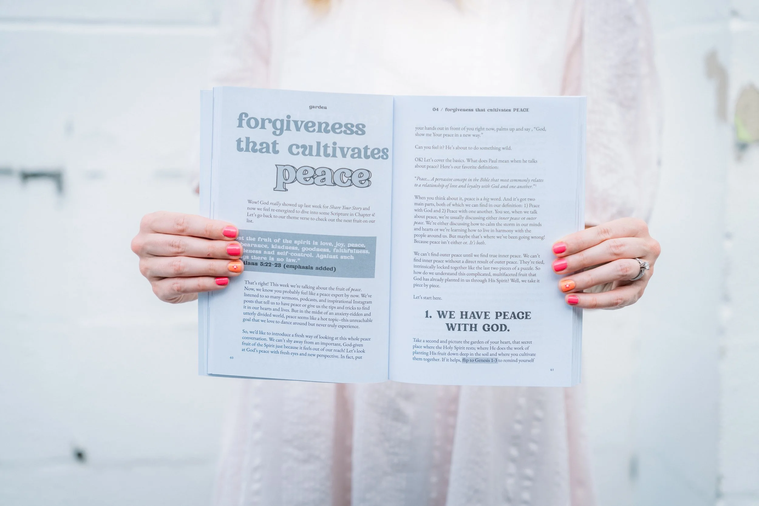 DELIGHT STUDY BOOKS — Store — Delight Ministries