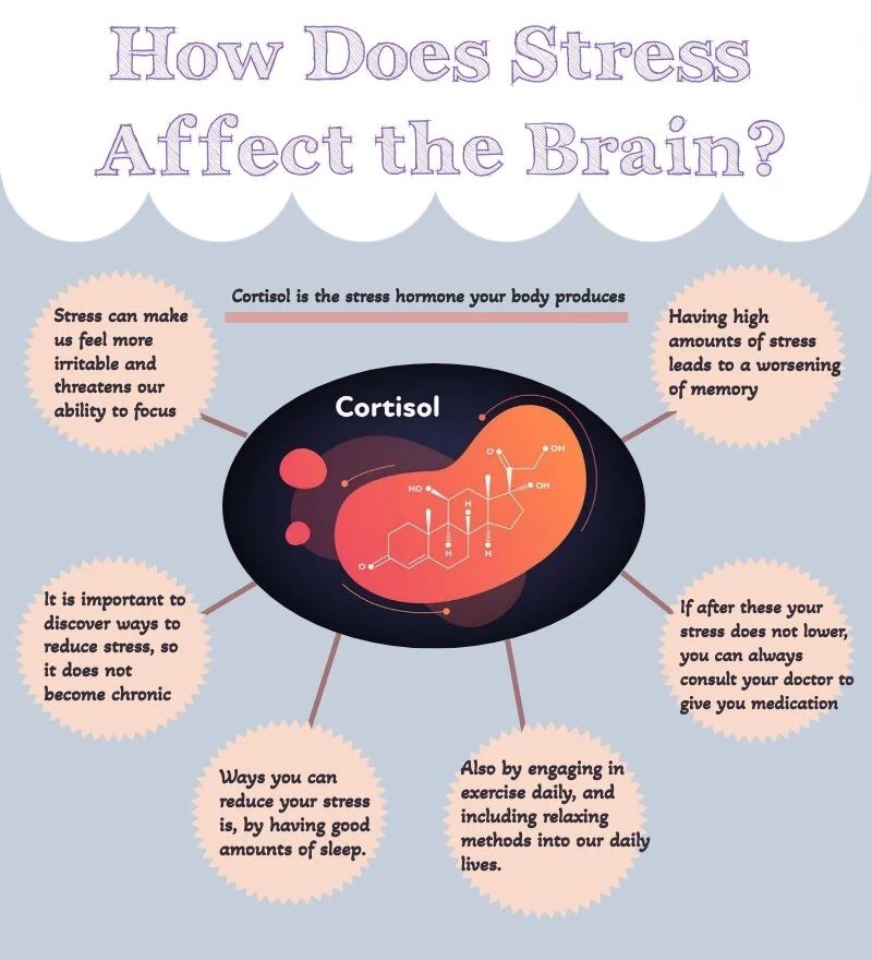 How Stress Hurts Brain Chemicals Learning And Memory Under Stress: