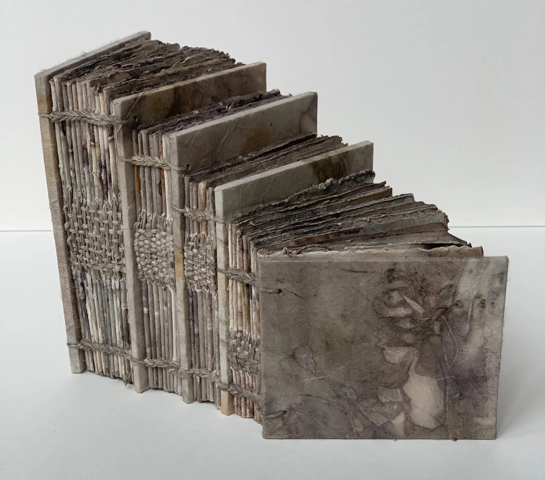 Books — annemcmillanart.com