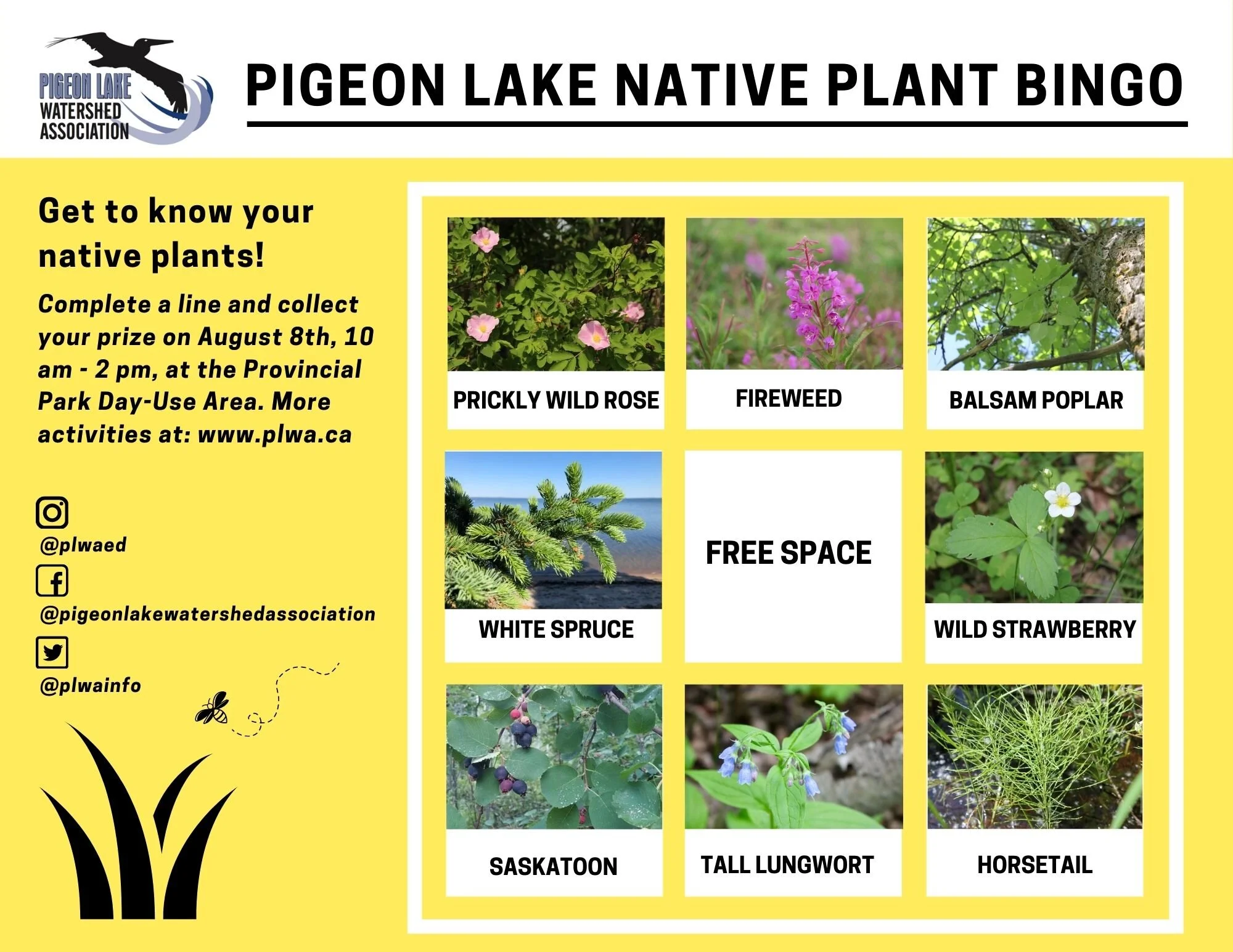 Native Plant Bingo — Pigeon Lake Watershed Association