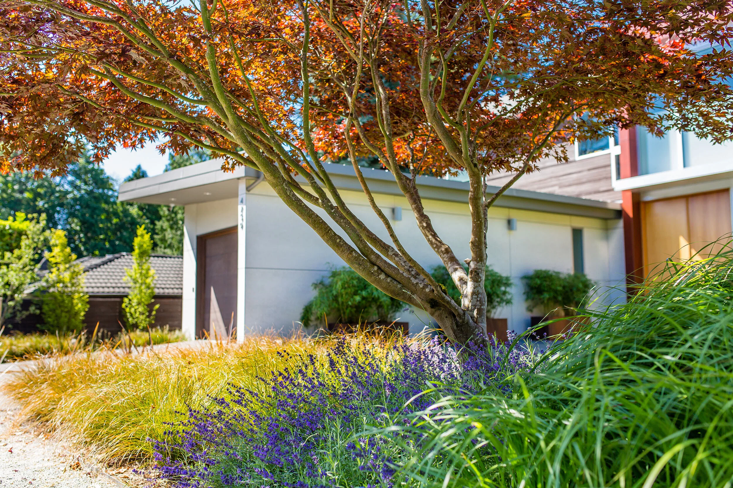 SCJ Studio - Landscape Architecture