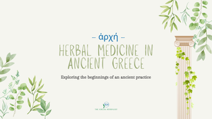 Αρχή: Herbal Medicine in Ancient Greece — The Greek Herbalist