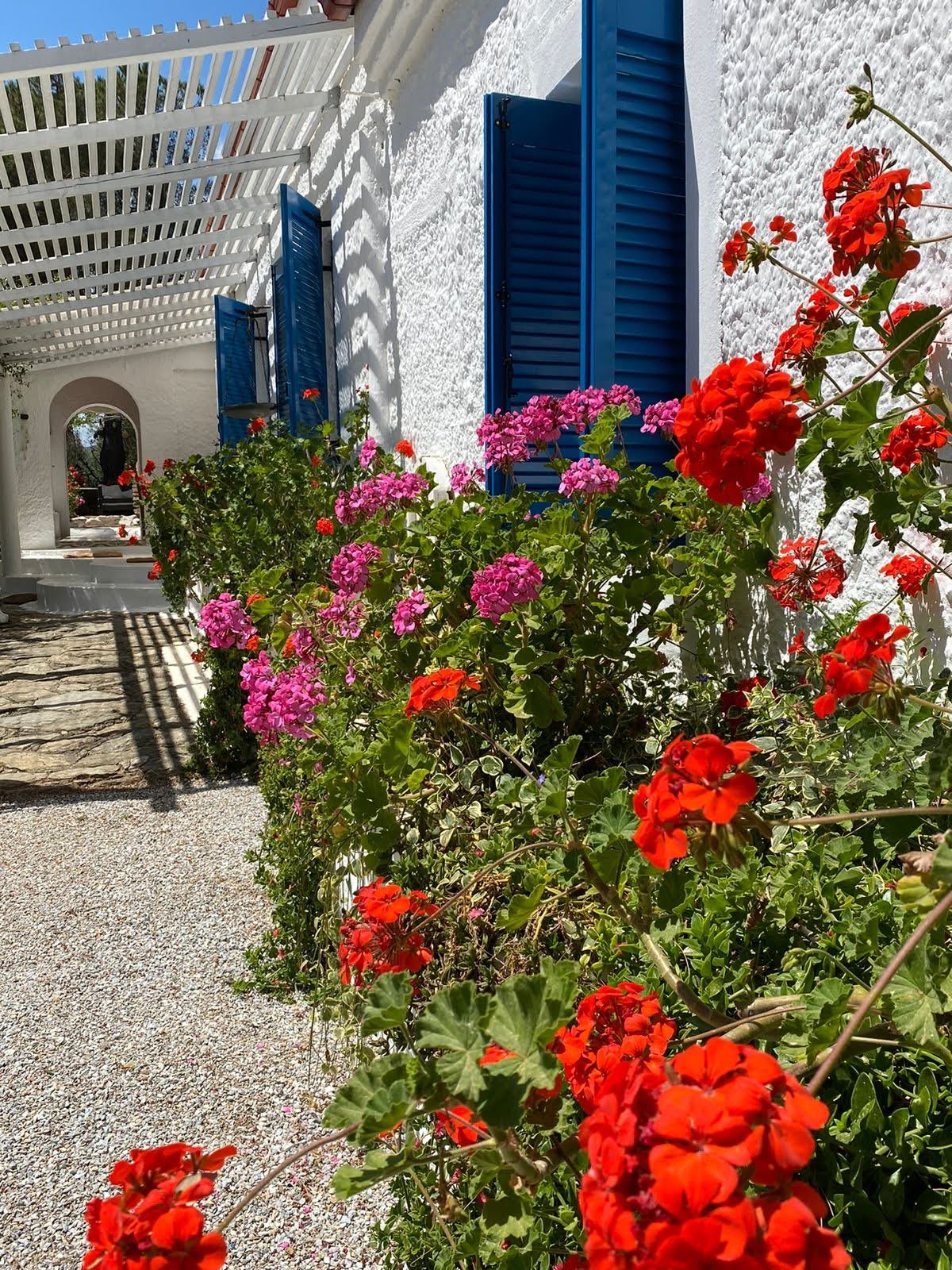 Silver Island Treasures — The Greek Herbalist