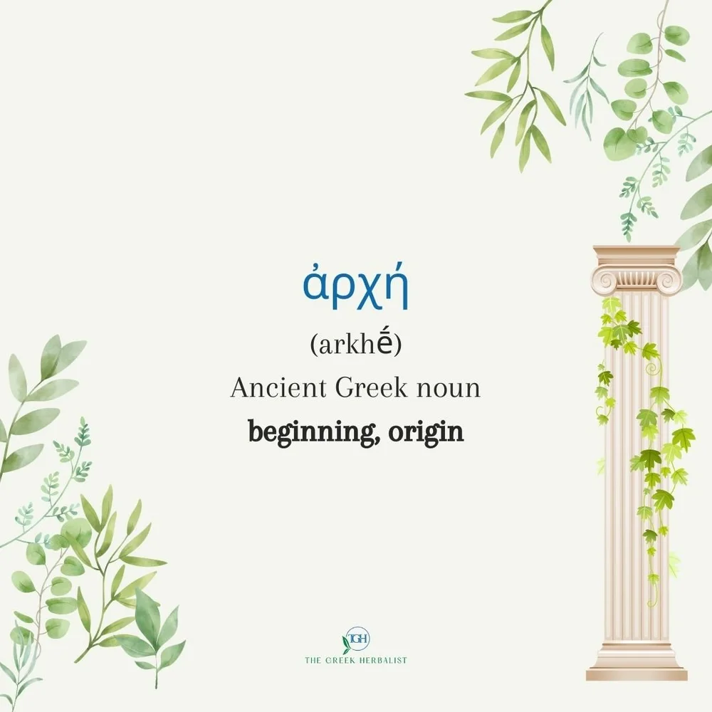 Αρχή: Herbal Medicine in Ancient Greece — The Greek Herbalist