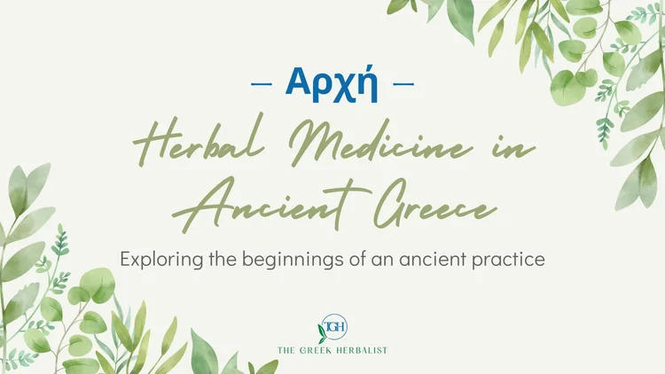 Αρχή: Herbal Medicine in Ancient Greece — The Greek Herbalist