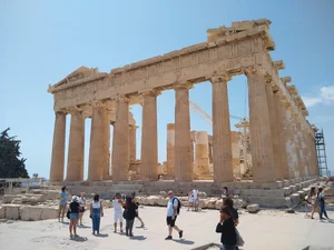 The Eight Trees Growing on the Acropolis in Athens, Greece — The Greek ...