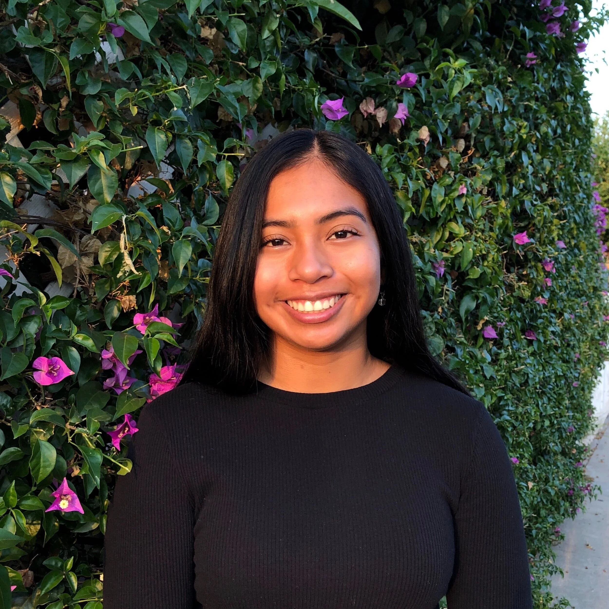 Brown University — STUDENT CLINIC FOR IMMIGRANT JUSTICE