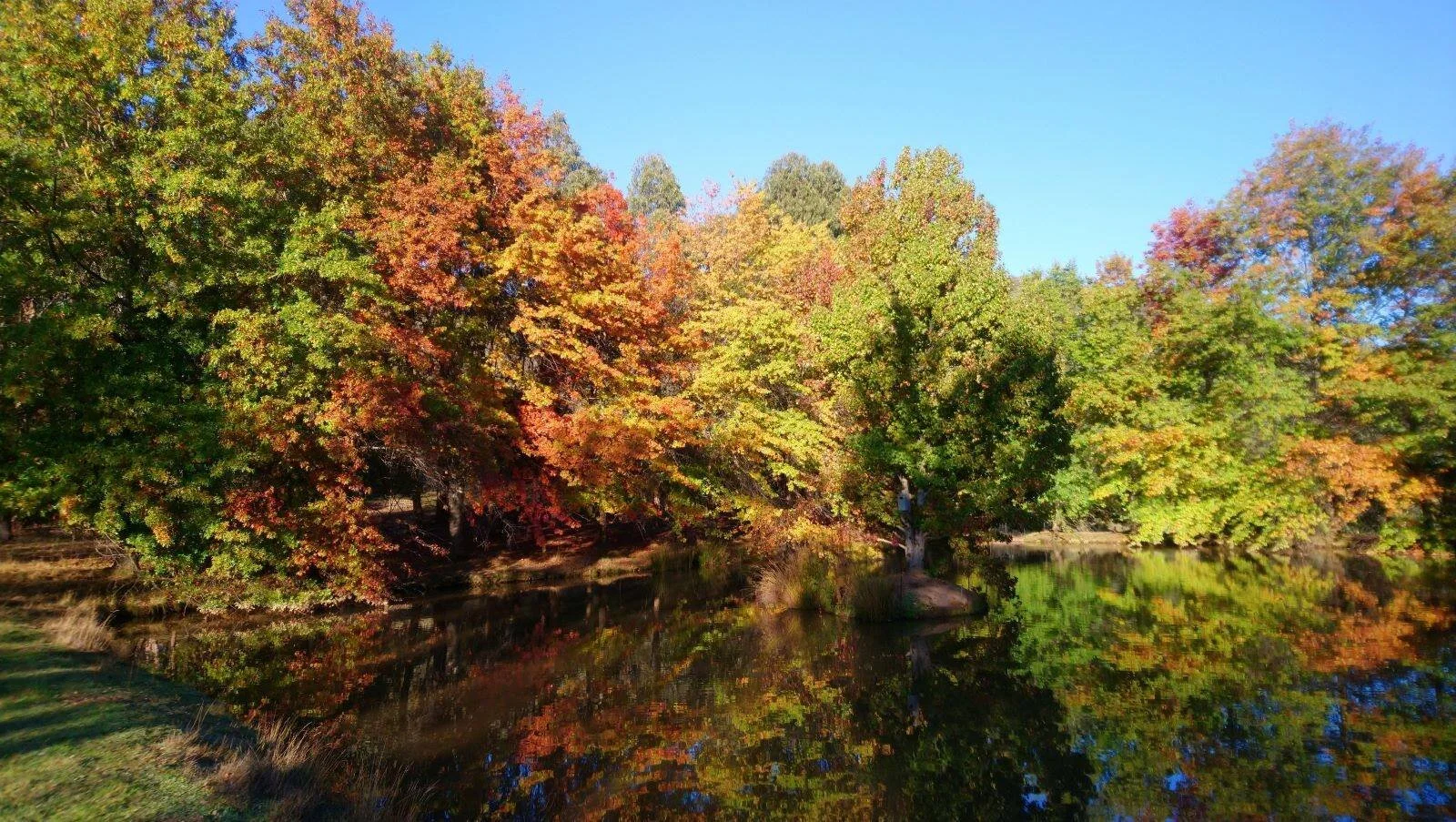 Explore Howqua — Riverdowns Retreat Howqua