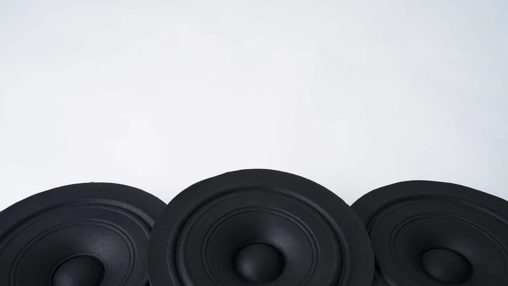 755A Speaker Cone — Western Electric - Maker of electron tubes and high ...