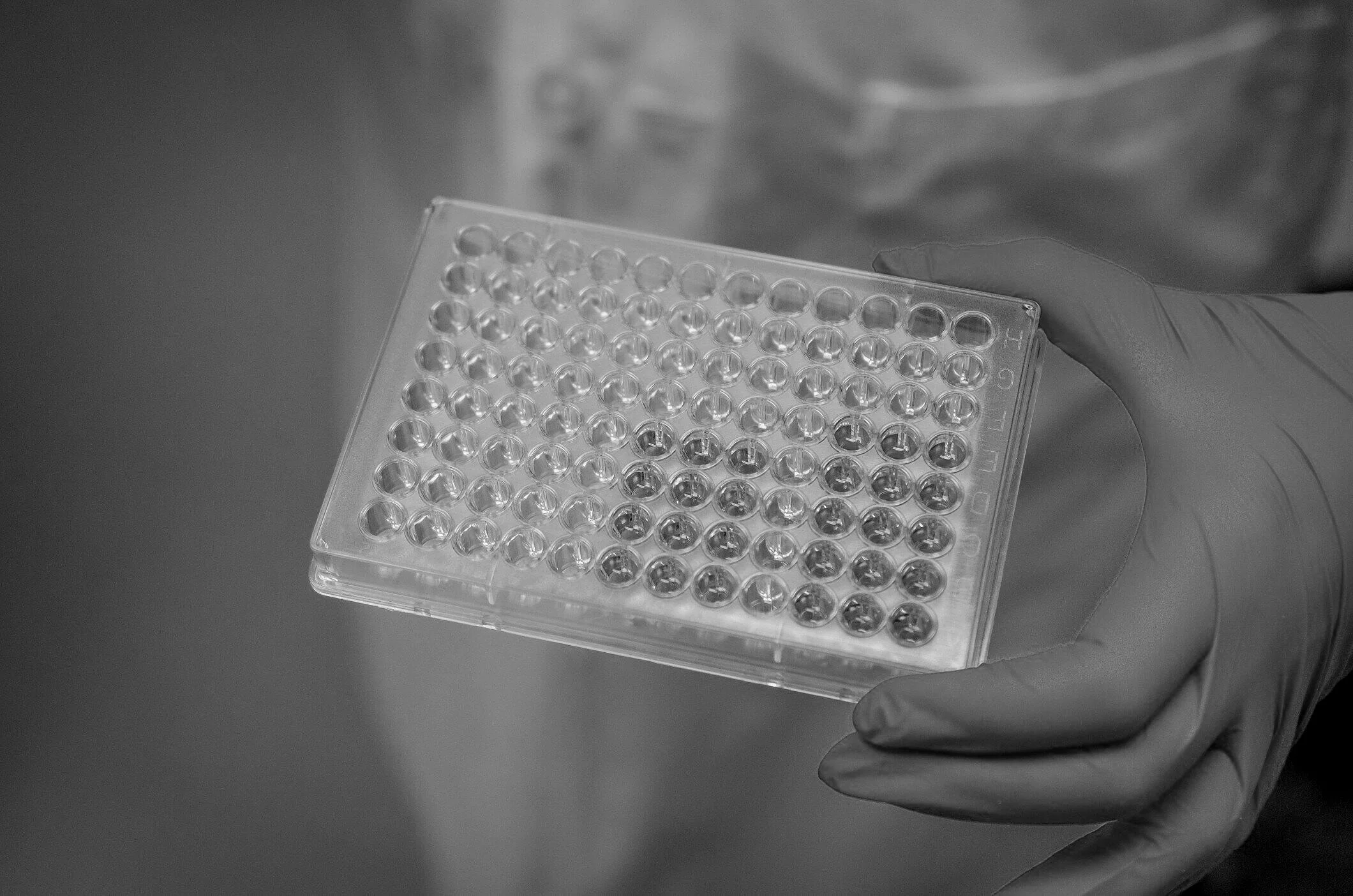 Diagnostic Support Services