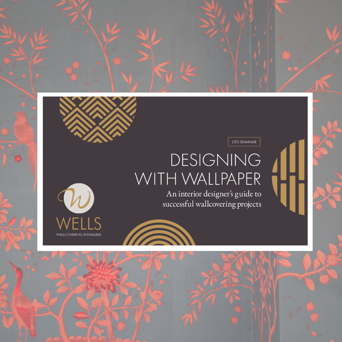 Our work — Edify Content Studio