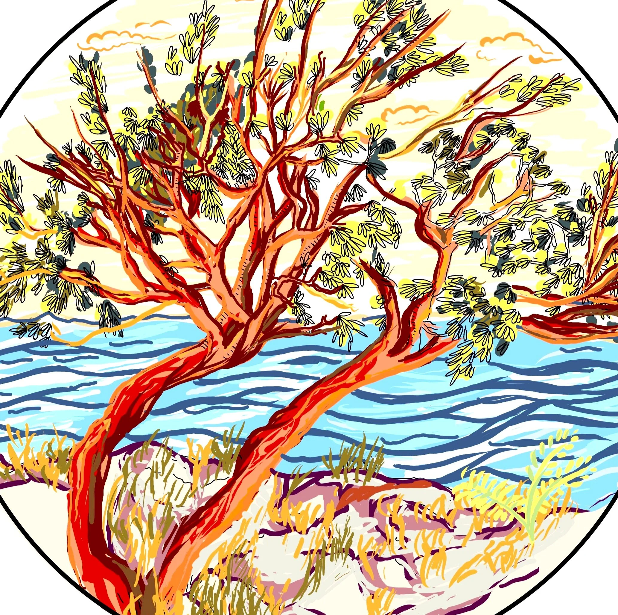 About Us — Madrona Gifts