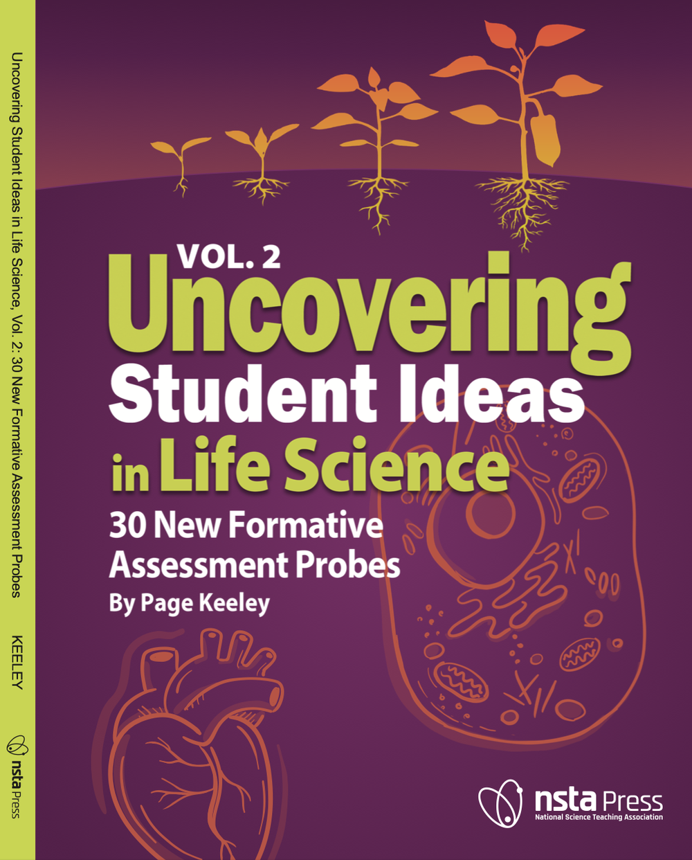 Uncovering Student Ideas