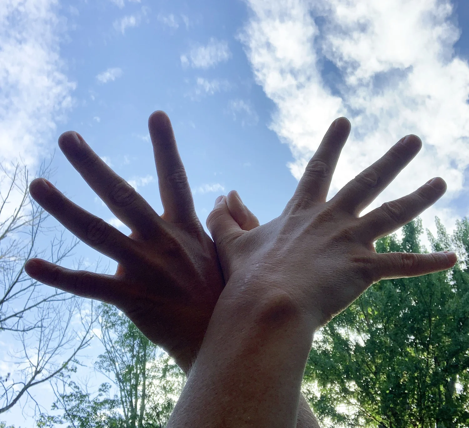 Garuda Mudra — Weeping Willow Yoga